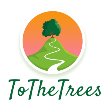 To The Trees - Guided Tours of Glastonbury's Trees